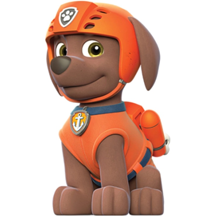 Paw Patrol Zuma Party Decoration Cardboard