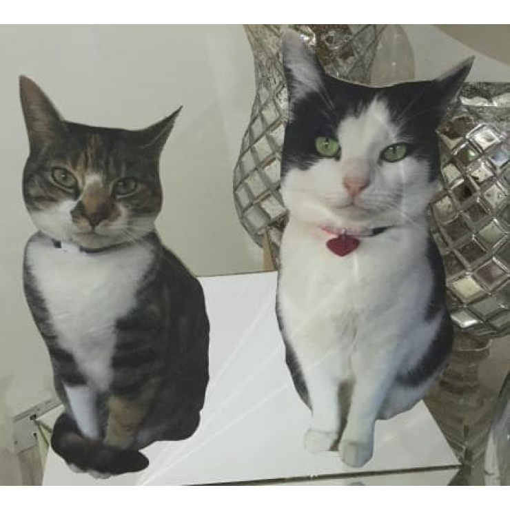 Standard Personalised Cardboard Pet Cutout